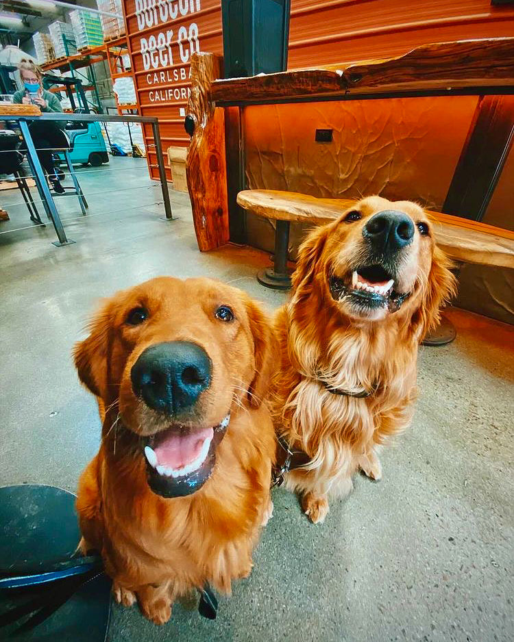 Brewery Taproom – Burgeon Beer Company