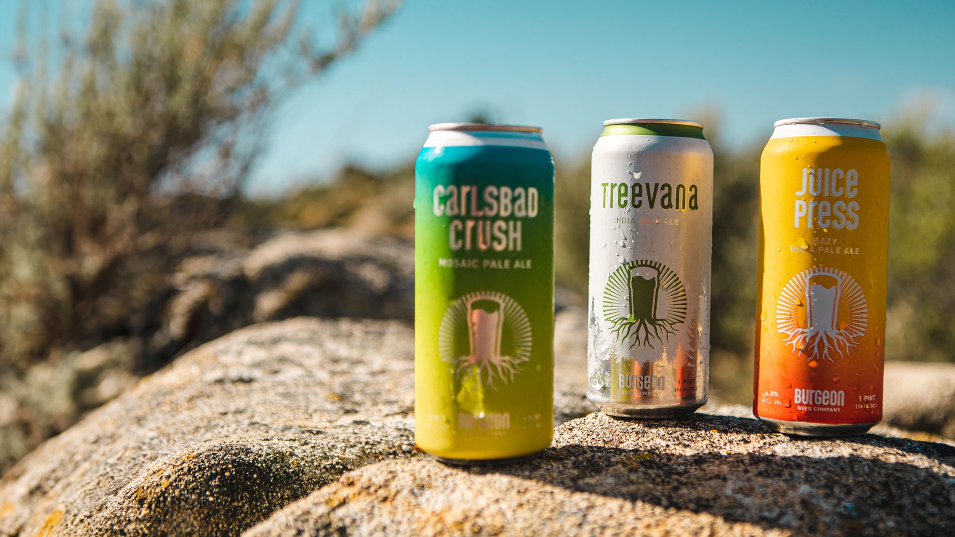 Story & Impact – Burgeon Beer Company