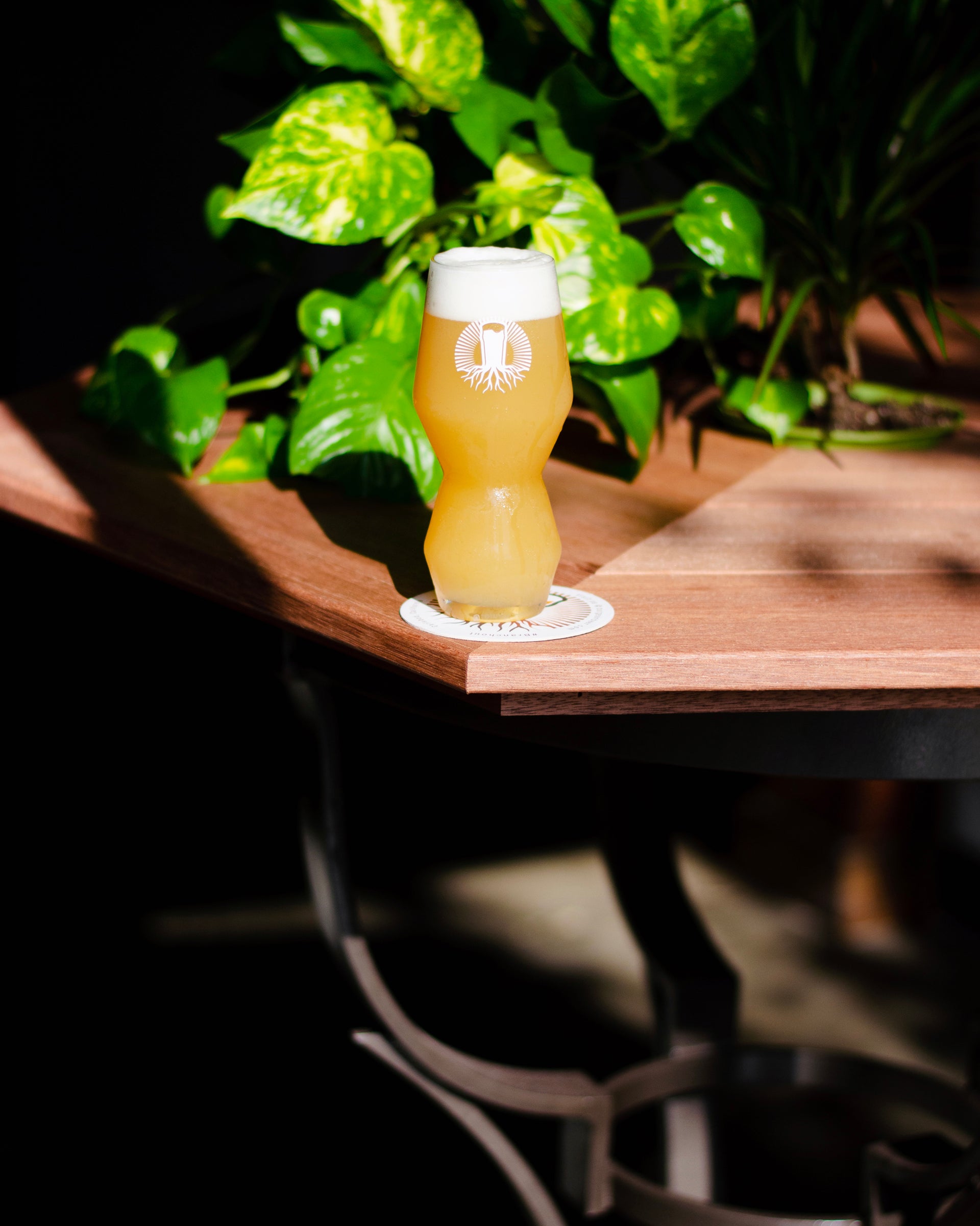 Burgeon Beer Company