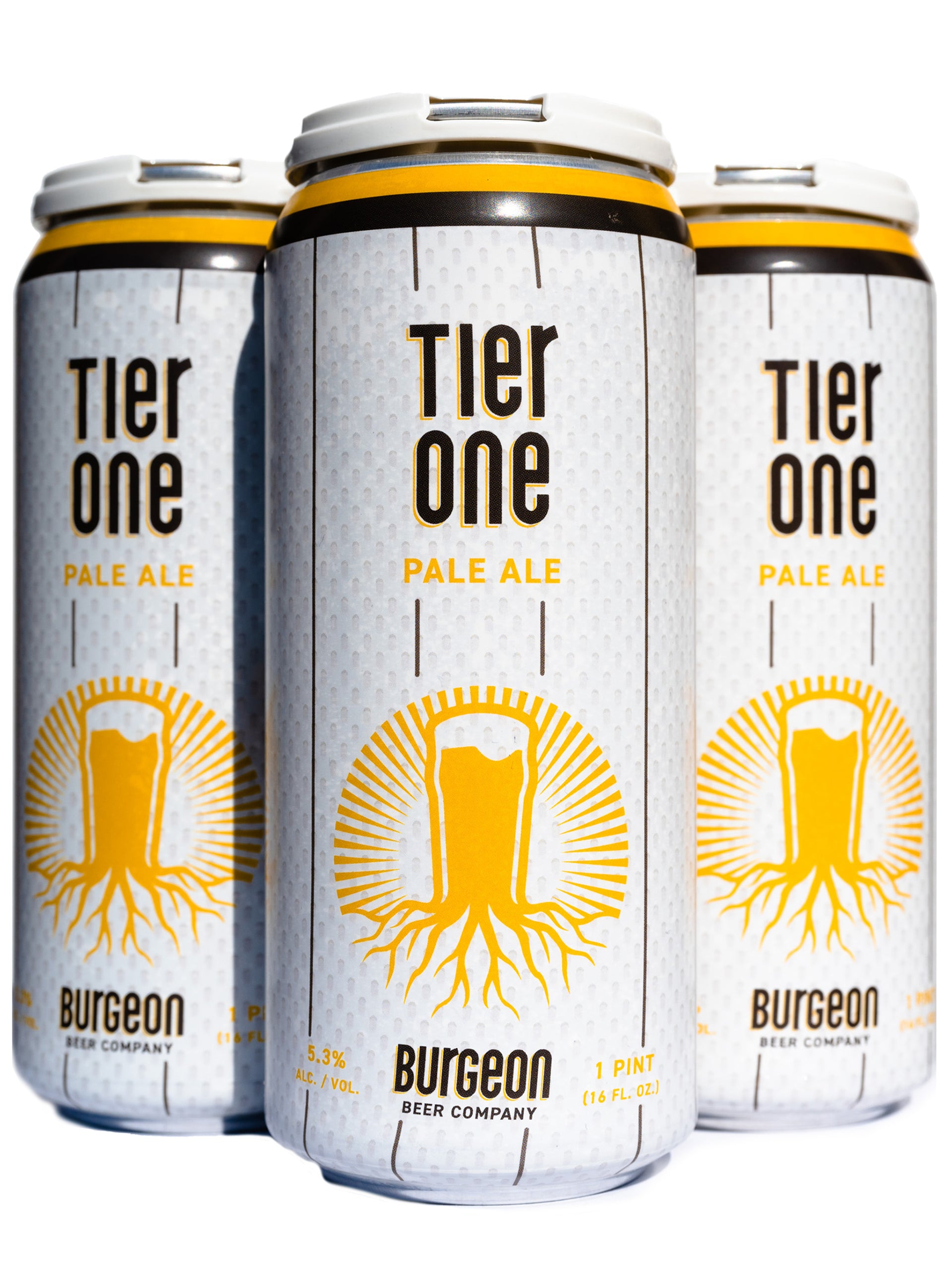 Burgeon Beer Company